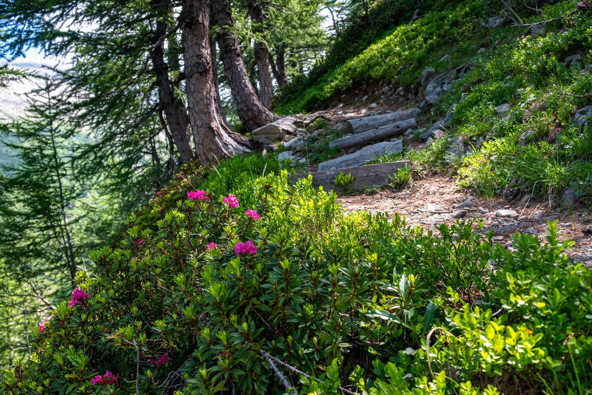 ViaStockalper - Stockalperweg