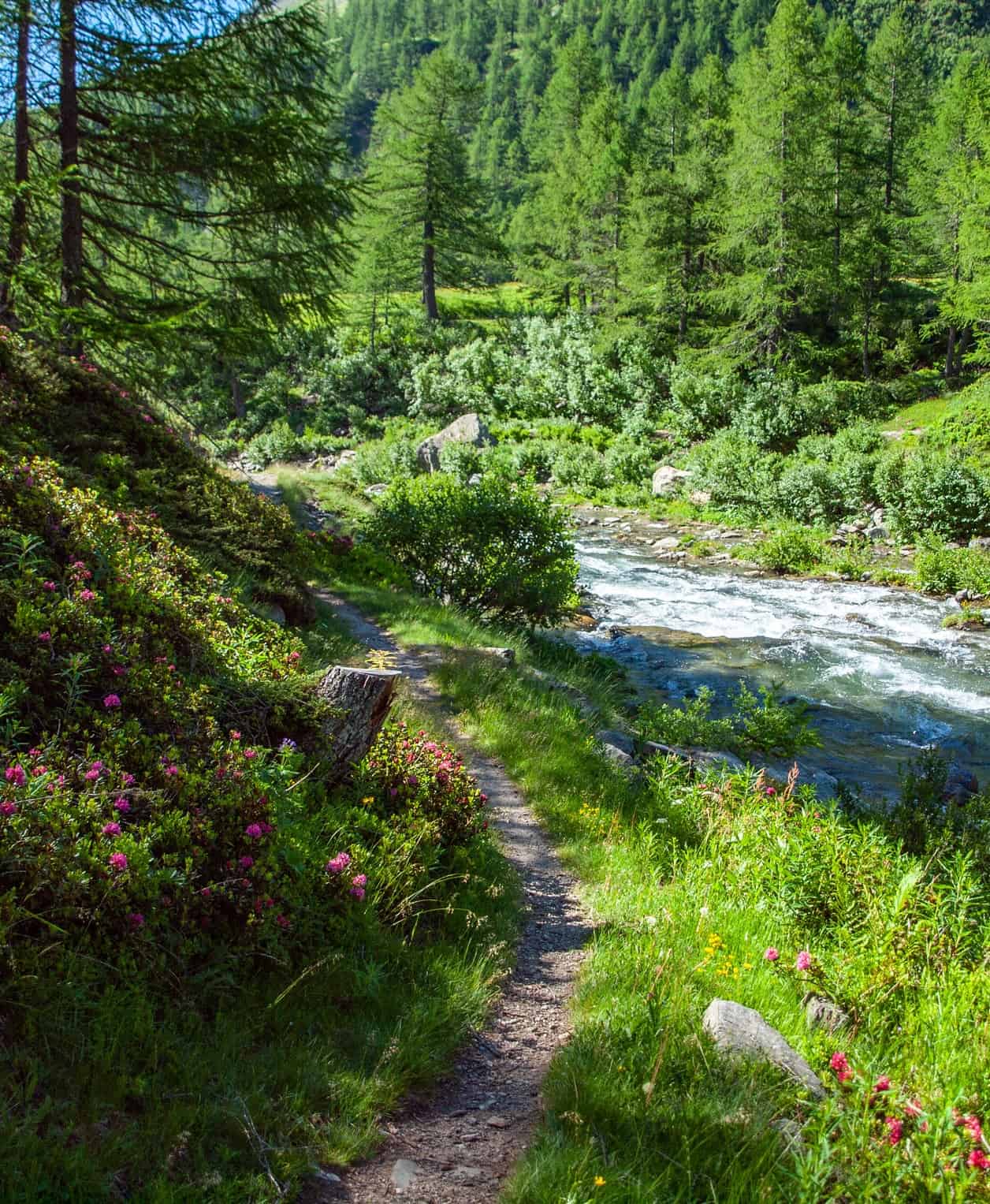 Découvrez le chemin du Stockalper de Brigue à Domodossola